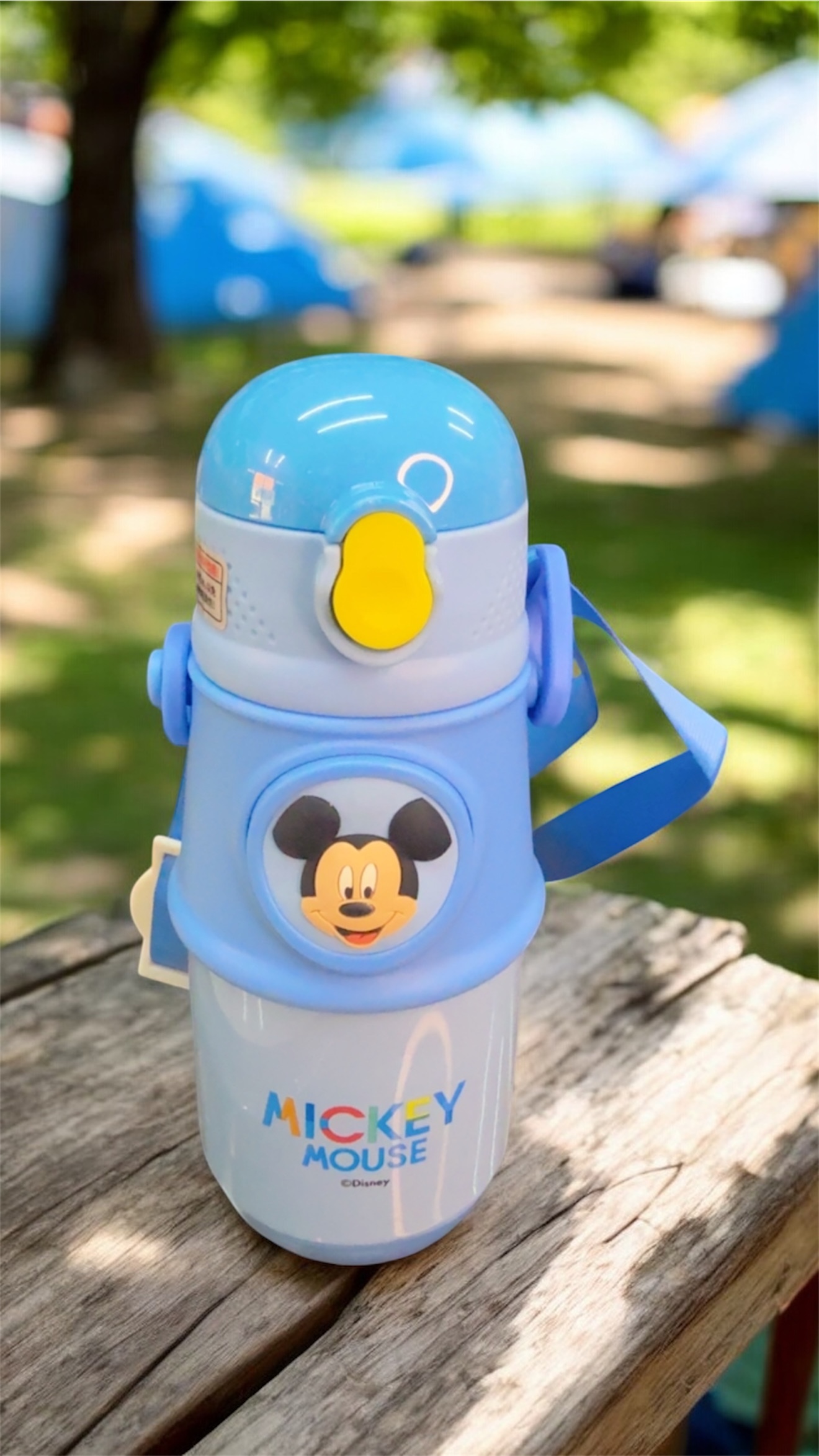 Cantimplora térmica 500cc de personajes – Cositas Lindas | Regalería en ...